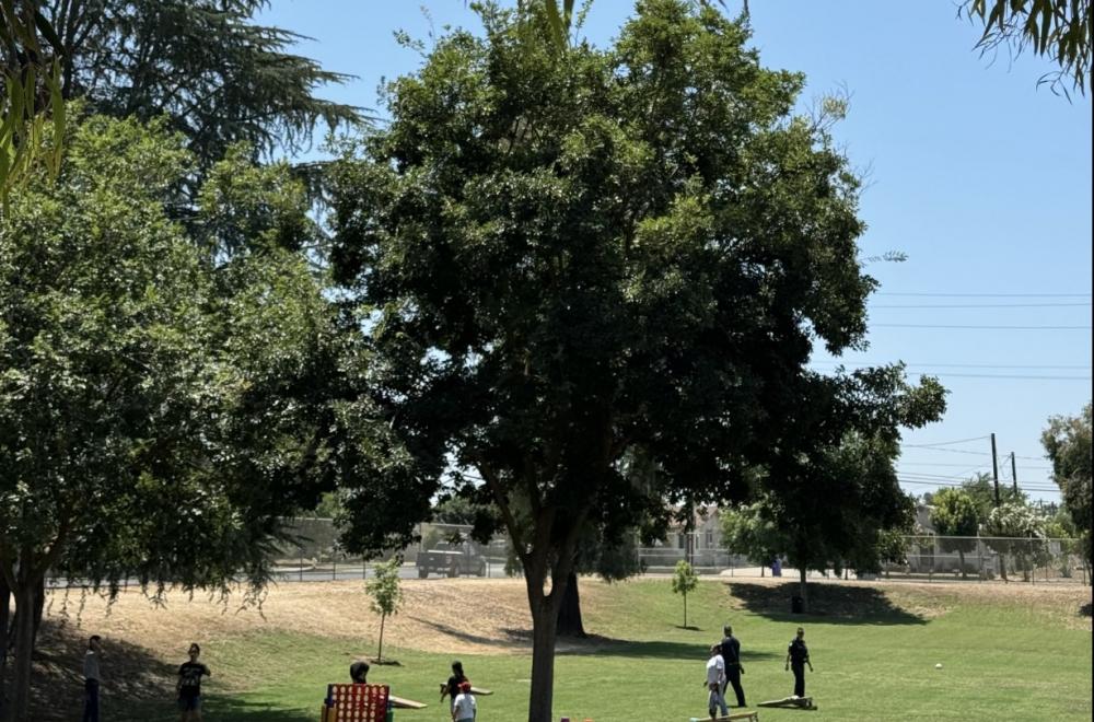 Harvard Park | Lindsay California